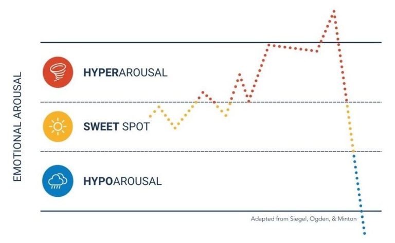 The Window of Tolerance | The TEND Toolkit